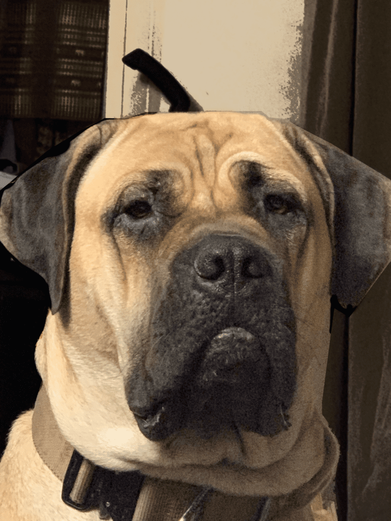 Seattle Remodels & Doors | Expert Craftsmanship from Burl